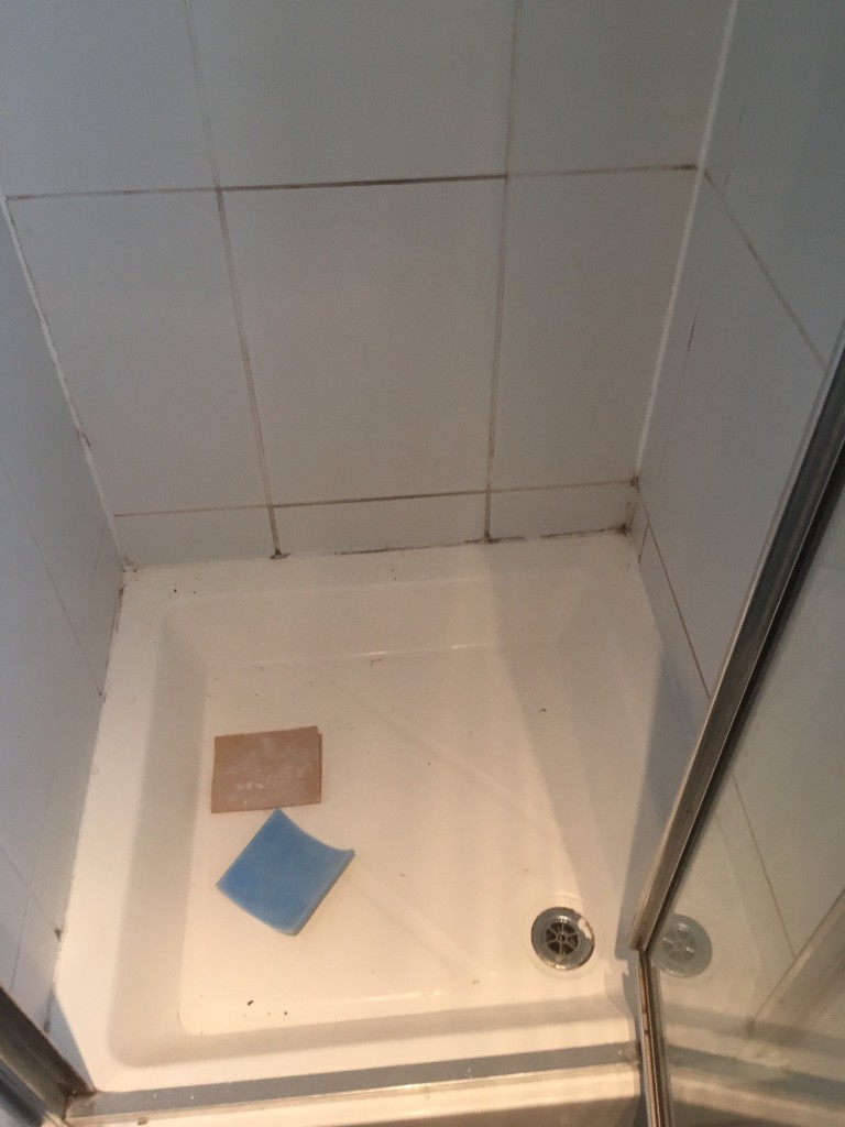 Shower Cubicle Refresh in South Cumbria – Tiling Tips – Tips and ...