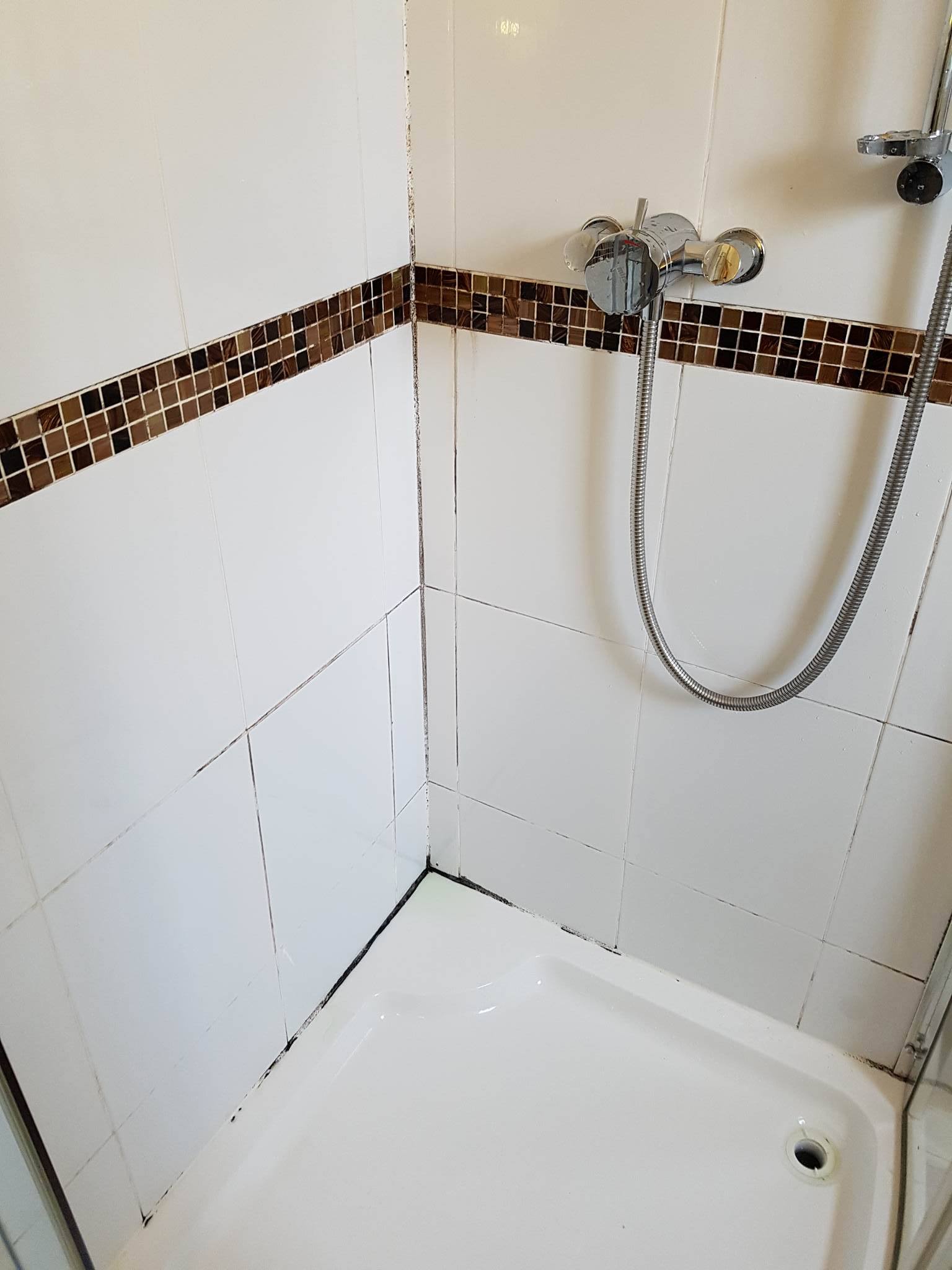 Dealing with Mould in Ceramic Shower Cubicle – Tiling Tips – Tips and ...